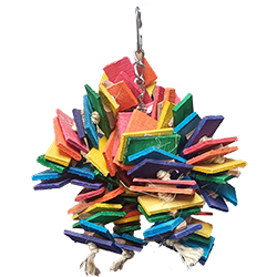 Parrot Toy - 10 inch Multi Color Wood Blocks on Chain – New York Bird ...